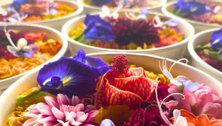 Guia Completo sobre Flores Comestíveis: Benefícios, Uso e Cultivo